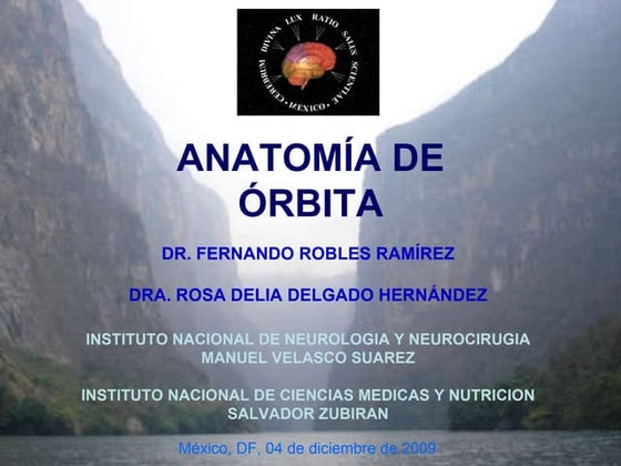 Orbita, RegióN Orbitaria Y Globo Ocular55 | PPT