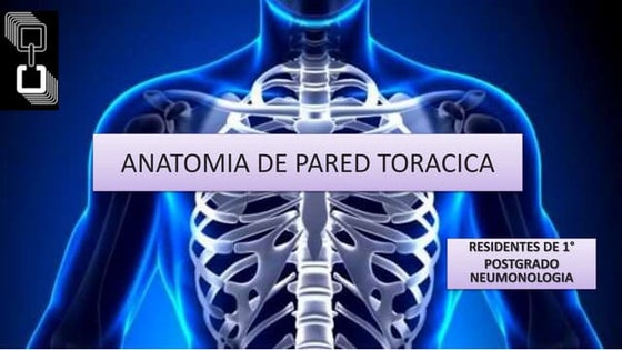 ANATOMIA DE PARED TORACICA y PULMON(1).pptx