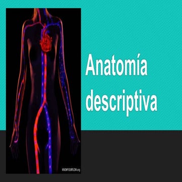 Anatomía descriptiva y terminología anatómica | PPTX