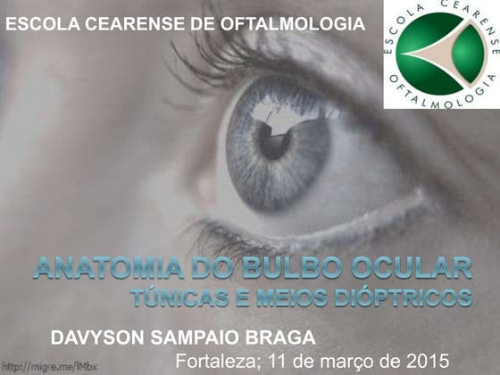 Anatomia da órbita e bulbo ocular | PPTX | Eye and Vision Conditions | Diseases and Conditions