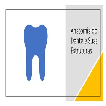 Anatomia do Dente e Suas Estruturas.pptx