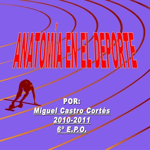 Anatomia en el deporte | PPT