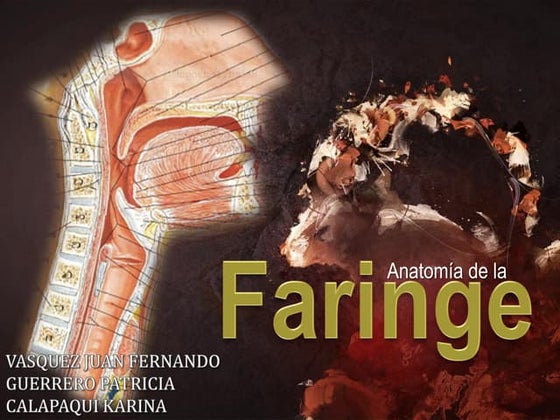 Faringe- anatomia | PPTX