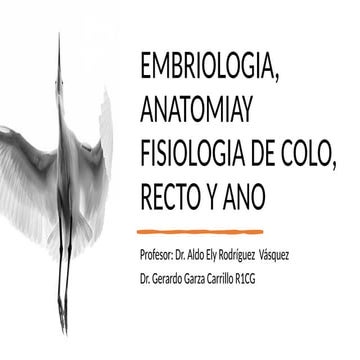 ANATOMIA, FISIOLOGA DE COLON, RECTO Y ANO.pptx
