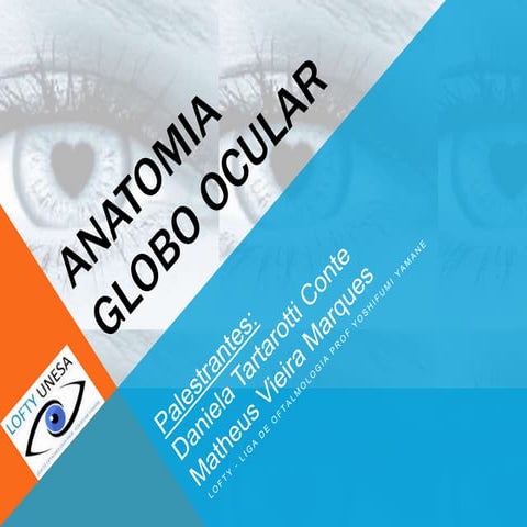 Anatomia globo ocular | PPTX