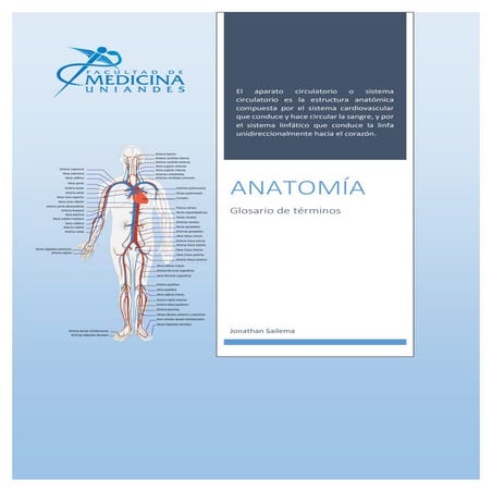 Anatomia Glosario Pdf