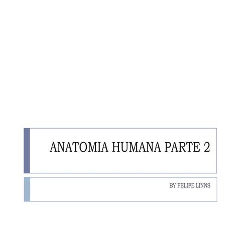 ANATOMIA HUMANA PARTE 2 | PPTX