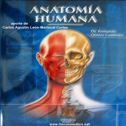 Anatomía humana-Quiroz (tomo 3) | PDF