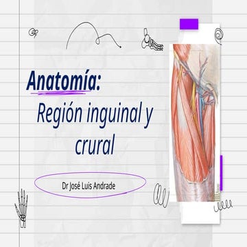 anatomia inguinal.pptxjKdjsUzoms ddzzxxffg | PPTX