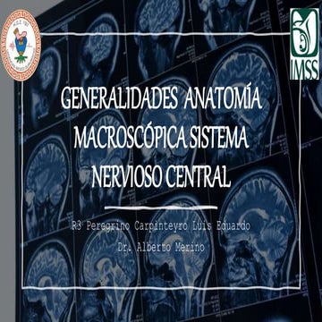 Anatomia Macroscopica Sistema Nervioso Central Ppt
