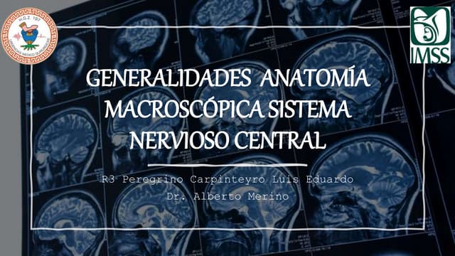 Anatomia Macroscopica Sistema Nervioso Central Ppt