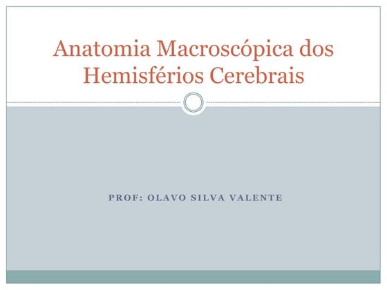 Anatomy Book - Plexo Lombossacral | PDF