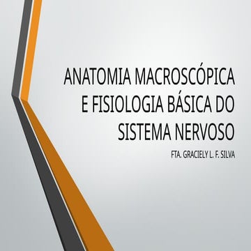 ANATOMIA MACROSCÓPICA E FISIOLOGIA BÁSICA DO SISTEMA NERVOSO.pptx