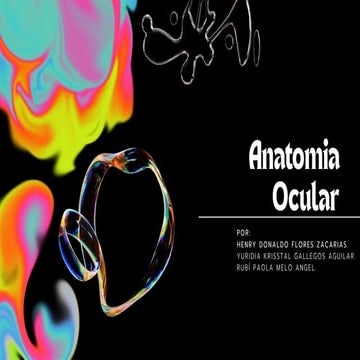 Anatomia Ocular.pptx