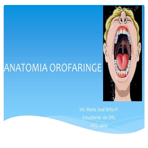 Anatomia de la orofaringe | PPTX