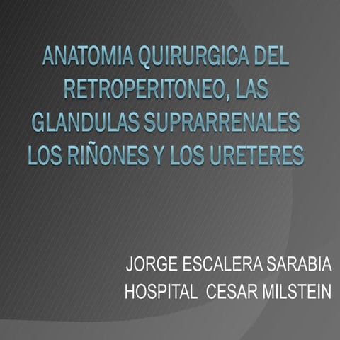Anatomia quirurgica del retroperitoneo, las glandulas suprarrenales | PPT