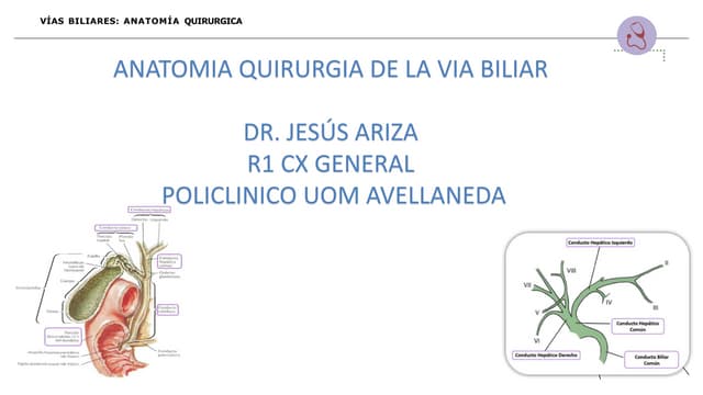 ANATOMIA VESICULA BILIAR y VÍAS BILIARES.pptx