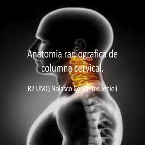 Anatomia radiografica de columna cervical | PPTX