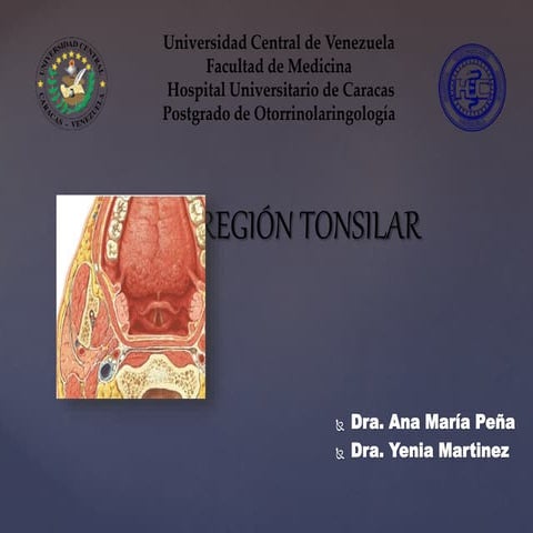 anatomia region tonsilar otorrinolaringologia | PPTX