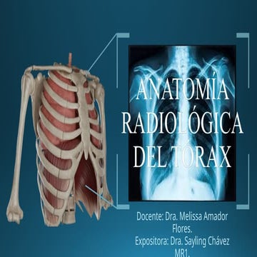 Anatomia del torax | PPTX
