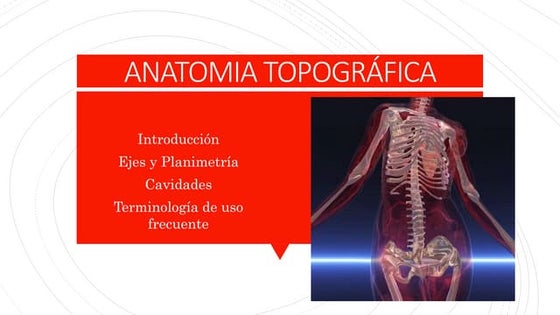 Clase 02 intro.anatomia | PPT