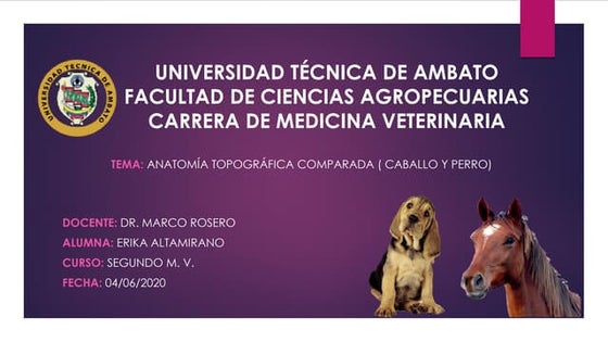 Comparada de equino y bovino | PPT
