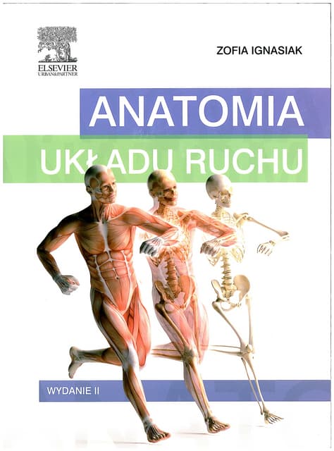 Podstawy anatomii i fizjologii człowieka | PDF