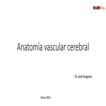 anatomia vascular.pptx arterial venoso | PPTX