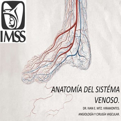 Anatomia Venosa.ppt