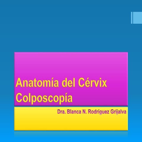 Anatomia del cervix | PPTX