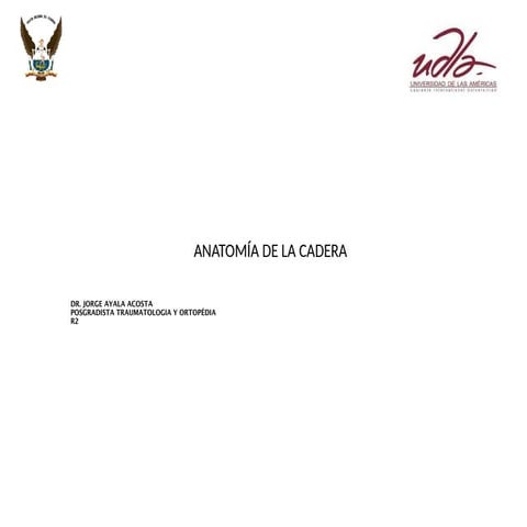 Abducción y aduccion de cadera.ppt completo | PPT