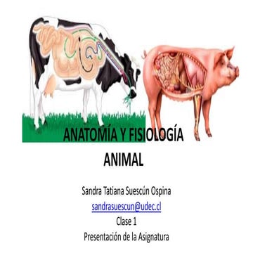 Anatomia+y+fisiolog%C3%ADa+presentaci%C3%B3n. | PDF