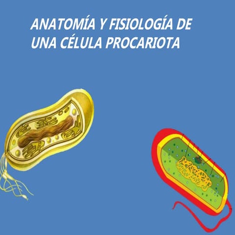 ANATOMIA Y FISIOLOGIA DE LA CELULA PROCARIOTA original.pptx