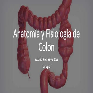 Anatomia y fisiologia del colon.pptx