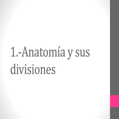 Anatomia_y_sus_divisiones_pptx.pptx