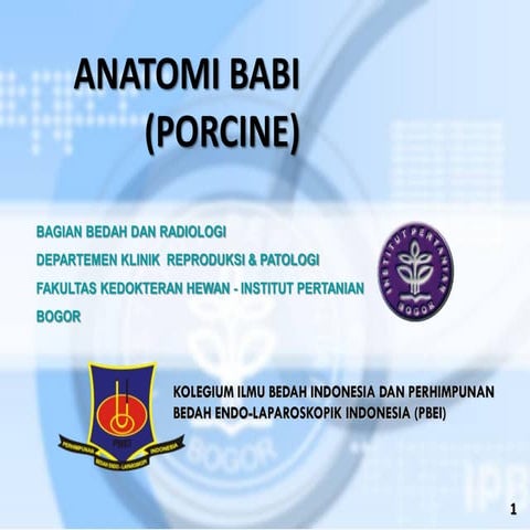 Anatomi Tubuh Babi (Porcine), Sebuah Pengantar | PDF