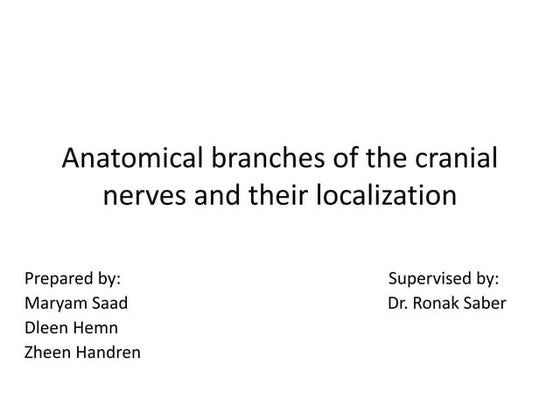 Cranial nerves (peripheral nerve system) | PPT