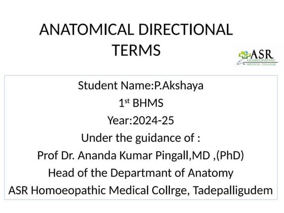 Anatomical positions Supine and prone position | PPT