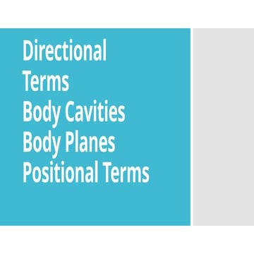 AnatomicalDirectionalTermsBodyPlanesCavitiesPositionsPowerPoint-1 | PPTX