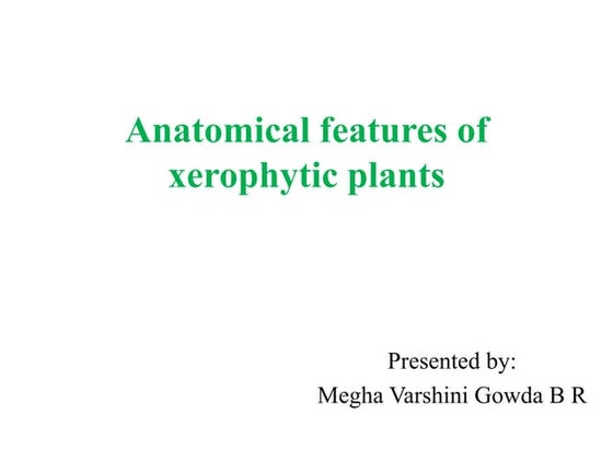 Xerophytes | PPT