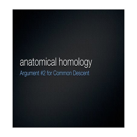 Anatomical homology | PDF