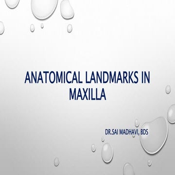 Anatomical landmarks in maxilla | PPTX | Ear, Nose and Throat ...