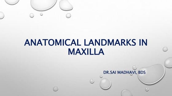 Anatomical landmarks of mandibule | PPT