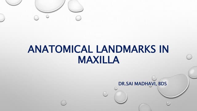 Anatomical landmarks of mandibule | PPTX