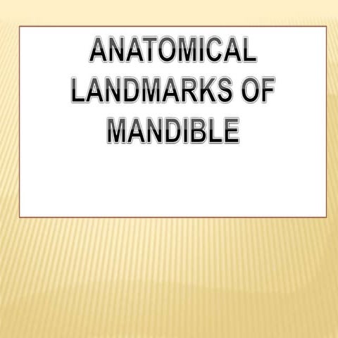 Mandibular anatomical landmarks | PPTX