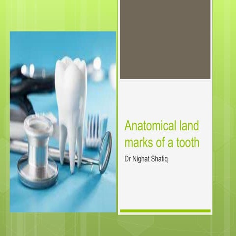 Anatomical land marks of a tooth | PPTX