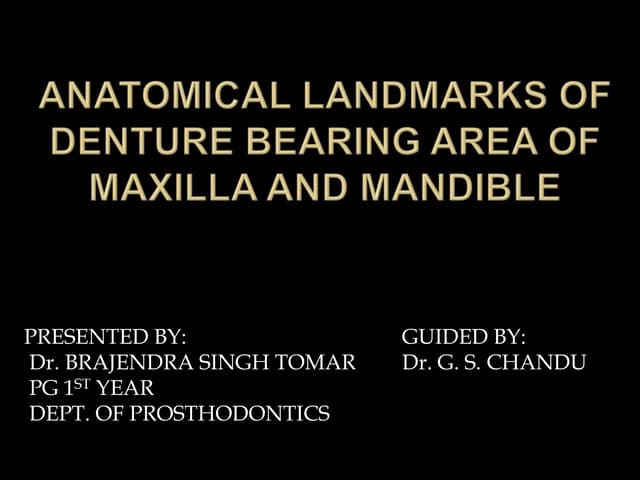 Intraoral Anatomical Landmarks