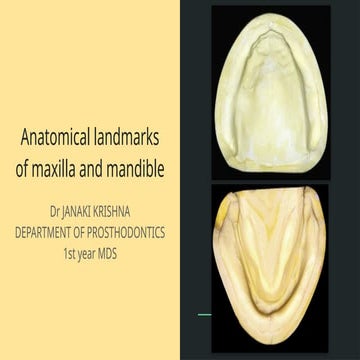 Anatomical landmarks of maxilla and mandible [autosaved] | PPTX