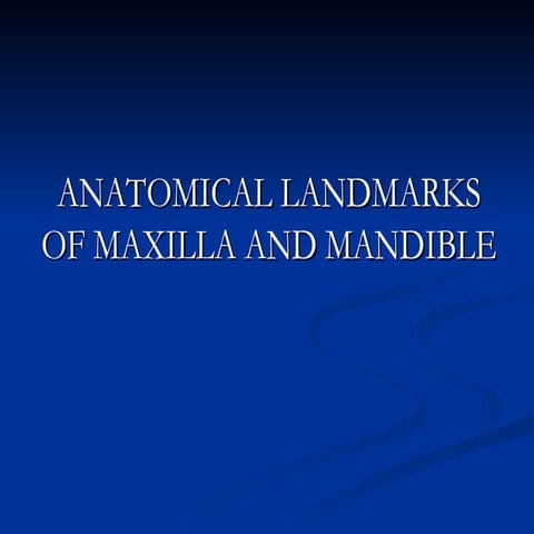 maxillary anatomical landmarks | PPTX