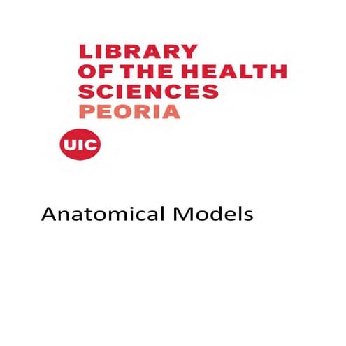 LHSP Anatomical Models Catalog v.7 | PDF